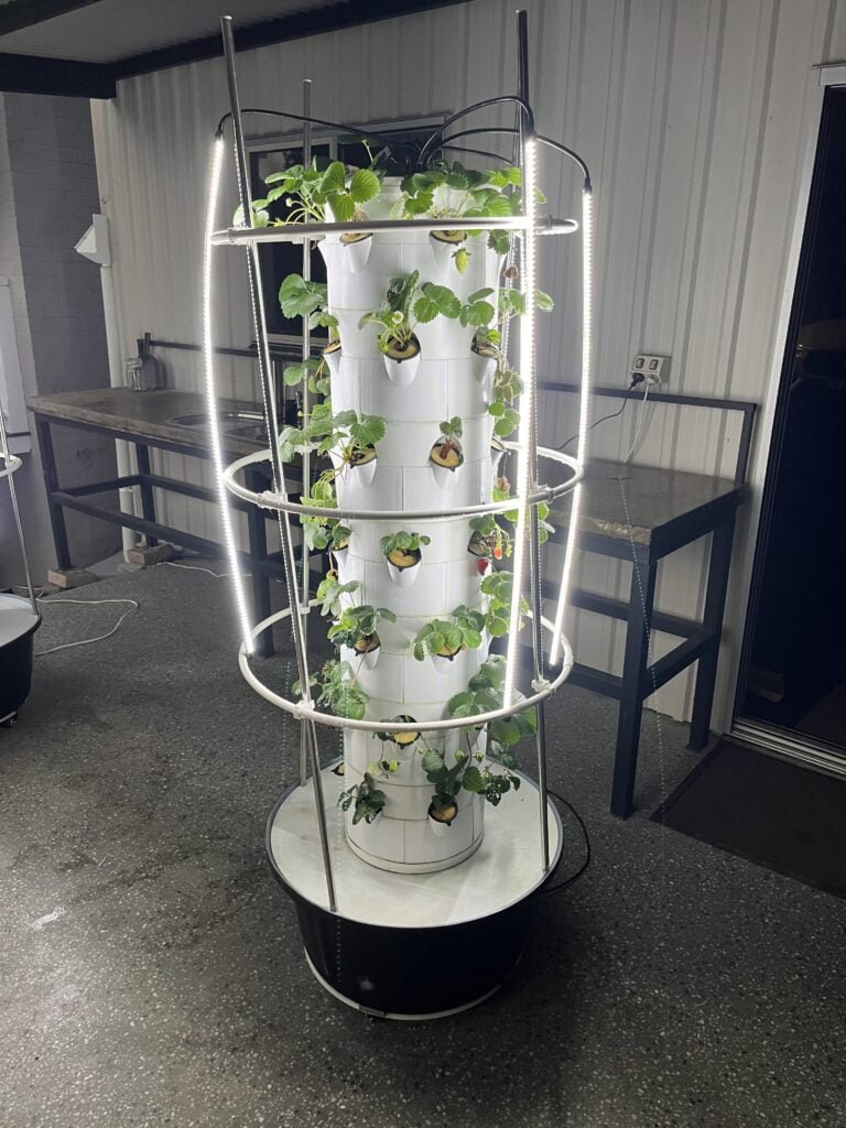 Air Stacky | Aeroponic Tower Garden Australia