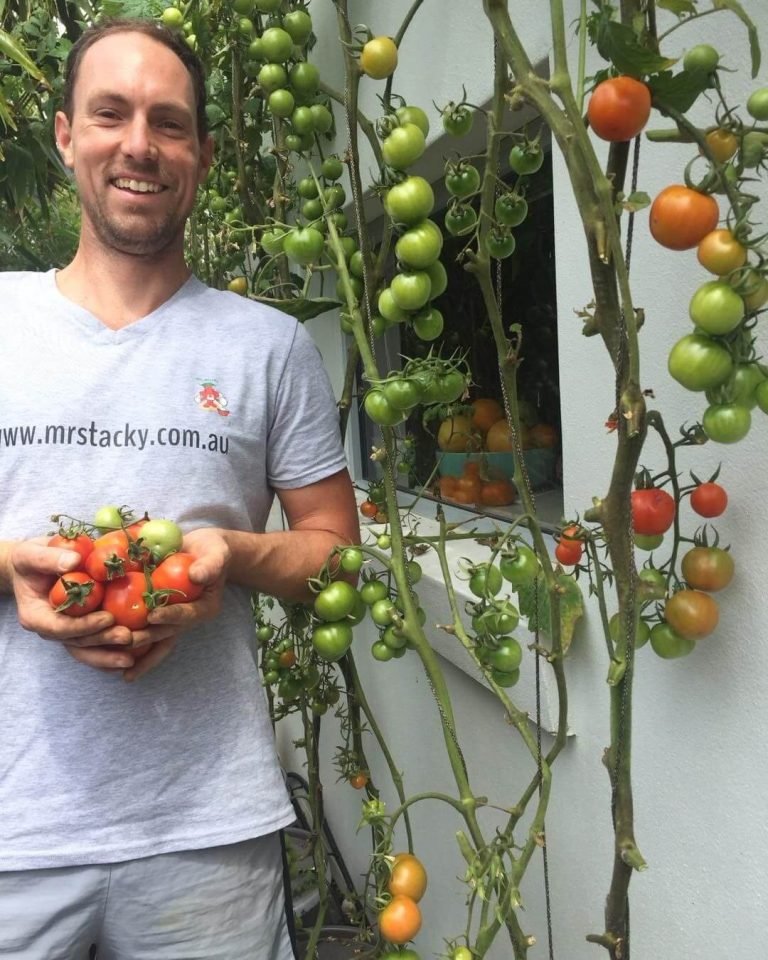 Growing a Hanging Herb Garden - A How to Guide from Mr Stacky