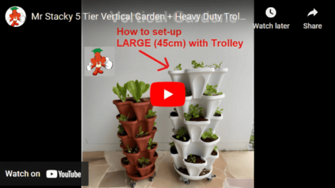 Vertical Gardens & Hydroponic Systems For Sale | Mr Stacky