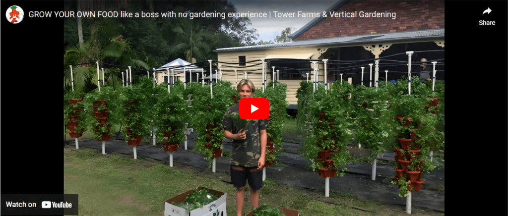 Vertical Gardens & Hydroponic Systems For Sale | Mr Stacky