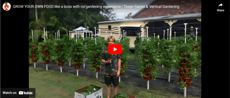 Vertical Gardens & Hydroponic Systems For Sale | Mr Stacky
