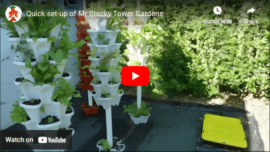 Vertical Gardens & Hydroponic Systems For Sale | Mr Stacky