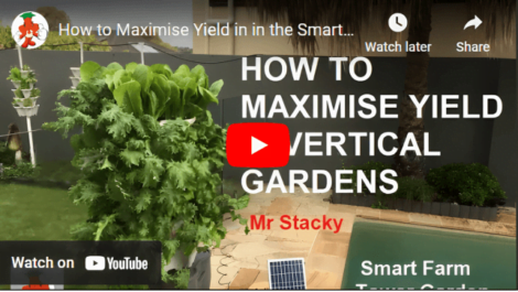 Vertical Gardens & Hydroponic Systems For Sale | Mr Stacky